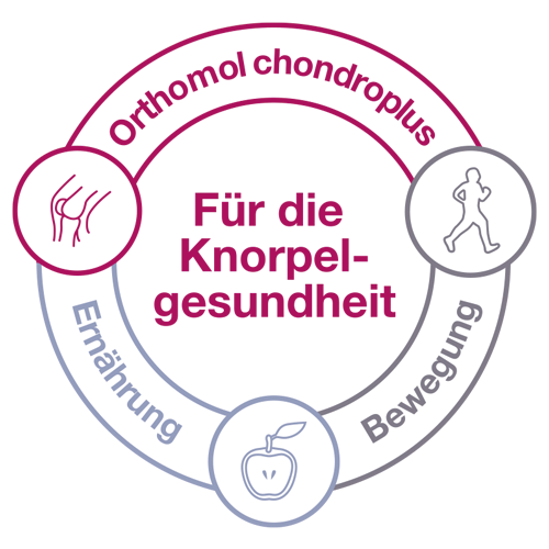Orthomol chondroplus - Nährstoffe für Knorpel und Knochen - mit ...